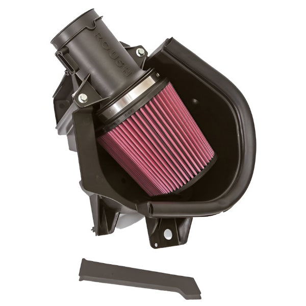 V8 Mustang 4.6L & 5.0L Cold Air Intake Kit (2010-2014) – Roush ...